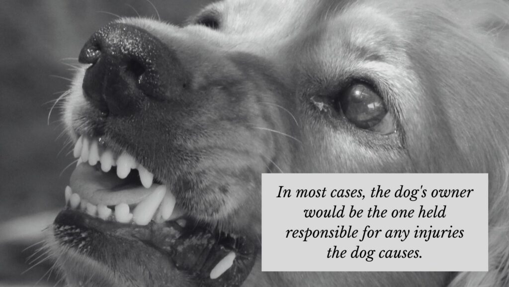 What is the Average Settlement for a Dog Bite Case in New Mexico ...